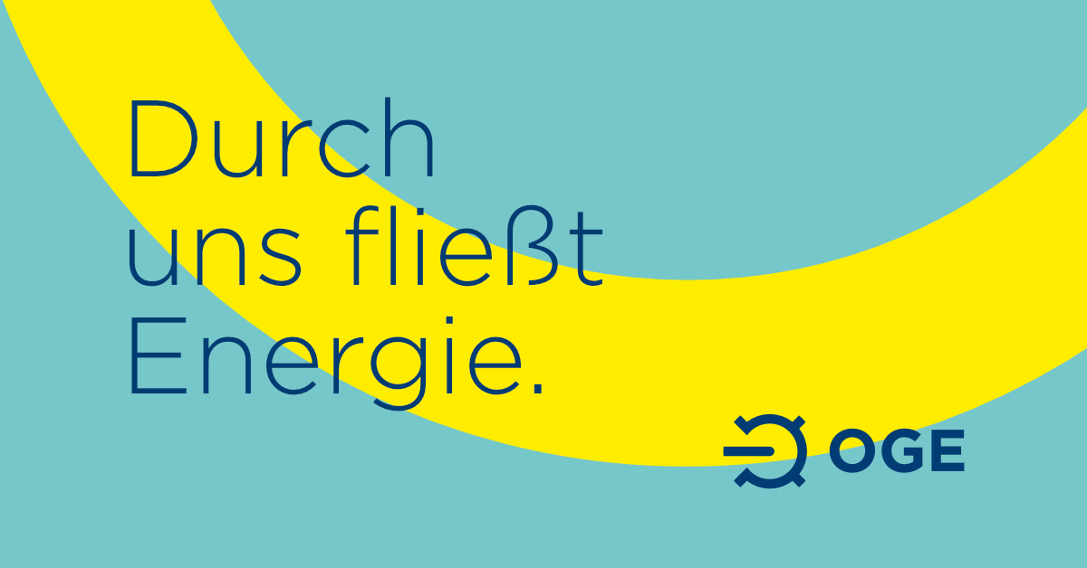 Amprion und OGE starten sektorenübergreifende IT-Plattform für ...